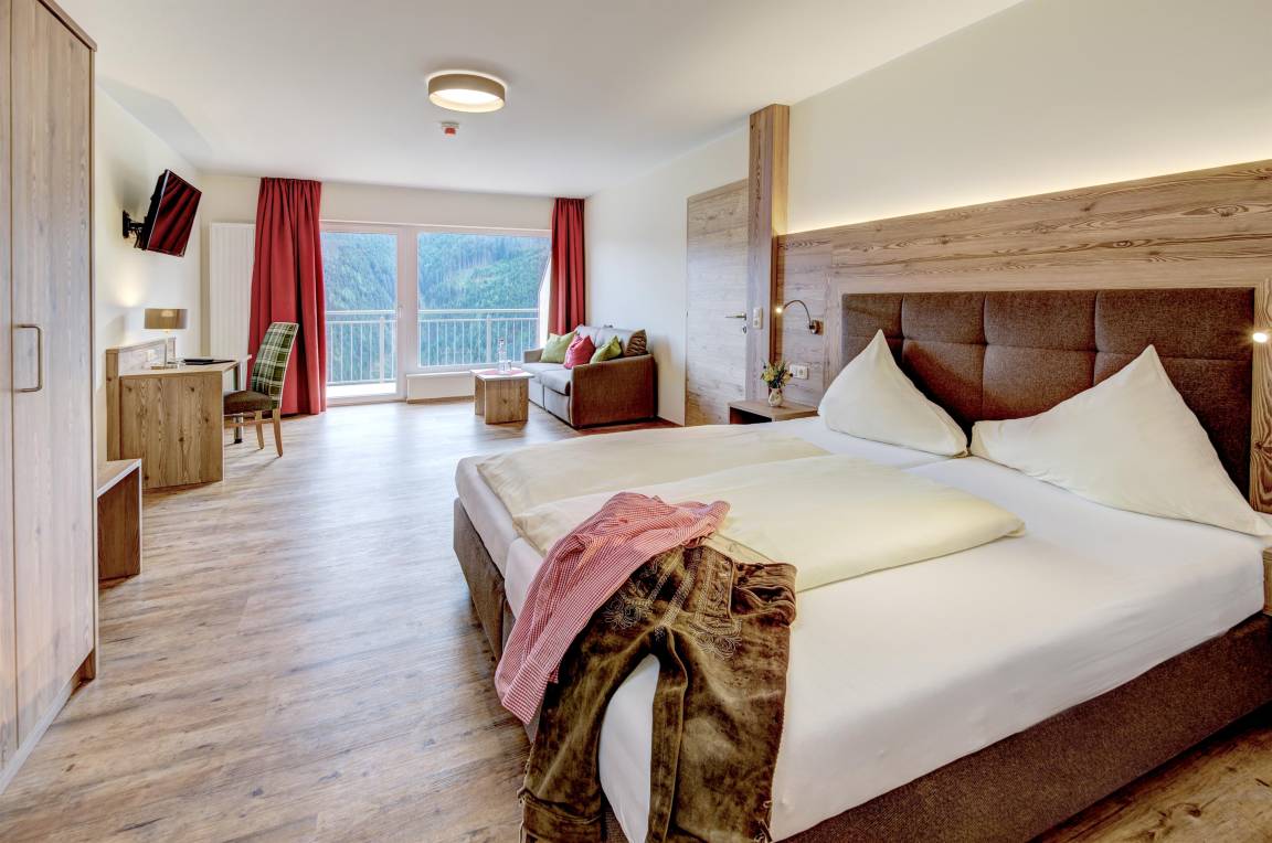 30 M² Hôtel ∙ 1 Chambre ∙ 4 Personnes - Zell am See