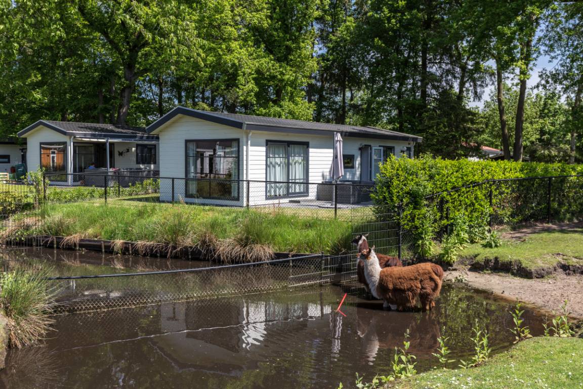 House ∙ 2 Bedrooms ∙ 4 Guests - Steenwijk