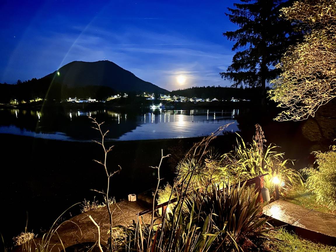 26 M² Hôtel ∙ 1 Chambre ∙ 2 Personnes - Ucluelet