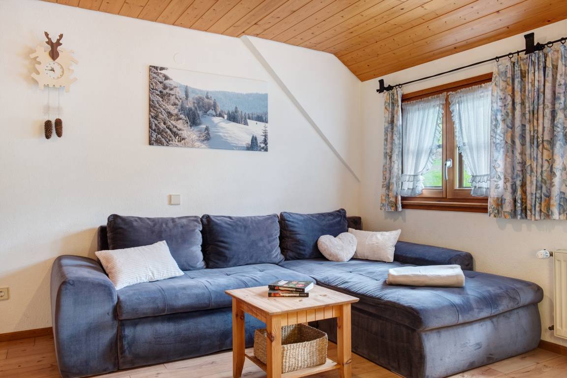 45 M² Ferienwohnung ∙ 2 Schlafzimmer ∙ 4 Gäste - Todtnauberg