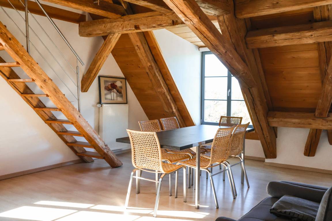 45 M² Appartement ∙ 1 Chambre ∙ 4 Personnes - Constance