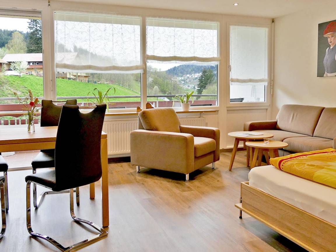 60 M² Ferienwohnung ∙ 1 Schlafzimmer ∙ 4 Gäste - Oberharmersbach