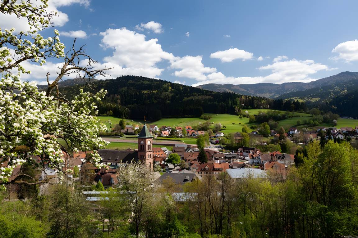 50 M² アパートメント ∙ 寝室: 1 ∙ ゲスト4 人 - シュヴァルツヴァルト