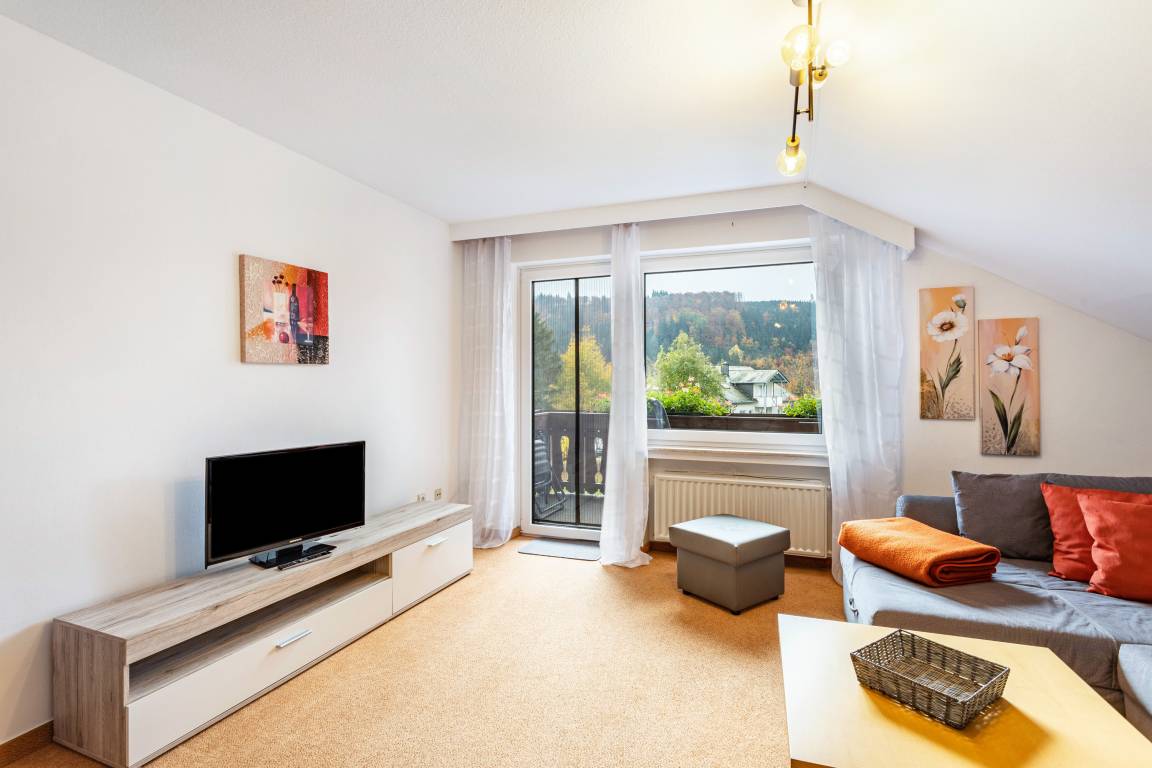 70 M² Ferienwohnung ∙ 2 Schlafzimmer ∙ 4 Gäste - Willingen (Upland)