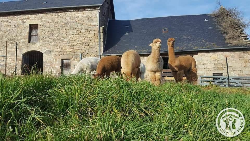 160 M² Gîte ∙ 5 Chambres ∙ 12 Personnes - Limousin