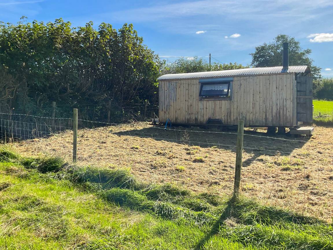 Cottage ∙ 1 Bedroom ∙ 2 Guests - Aberaeron