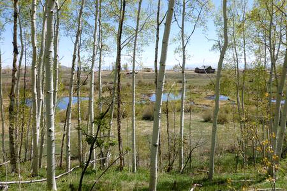 House ∙ 7 Bedrooms ∙ 16 Guests - Colorado