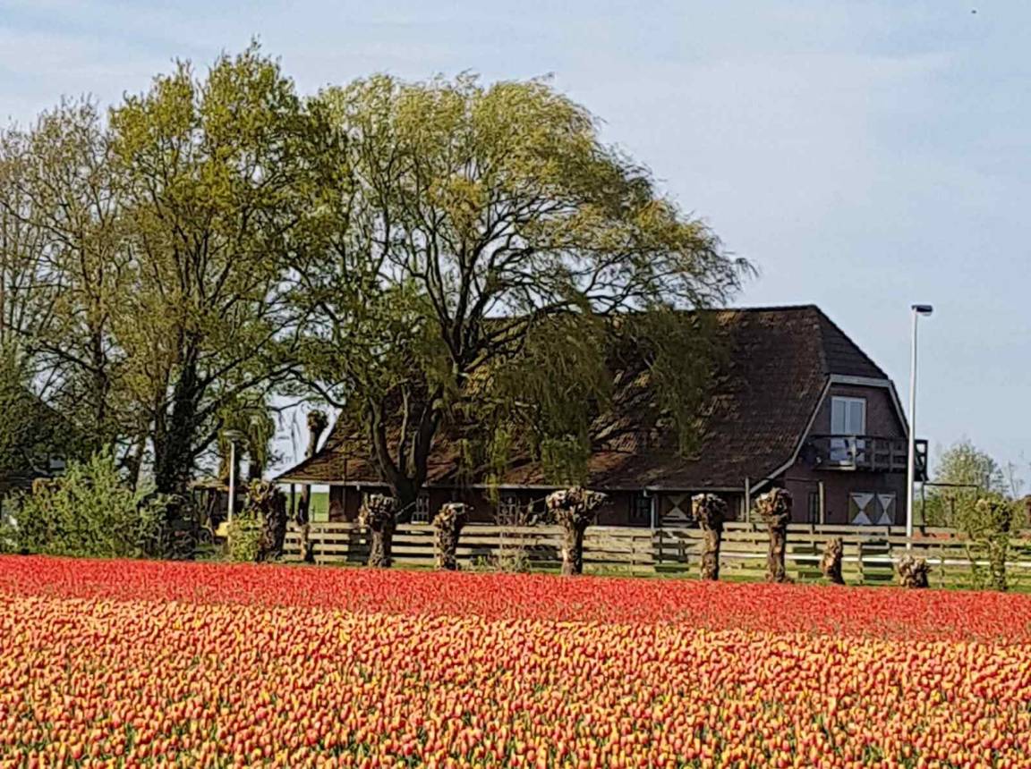 120 M² House ∙ 2 Bedrooms ∙ 4 Guests - Julianadorp