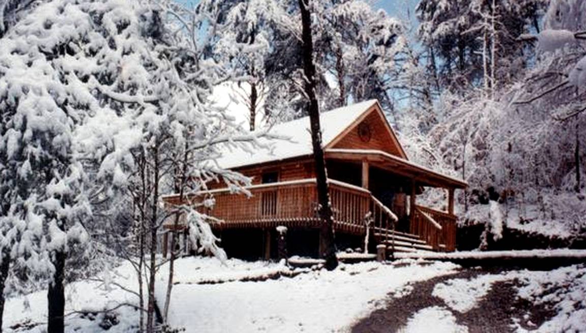 House ∙ 1 Bedroom ∙ 6 Guests - Maryville, TN