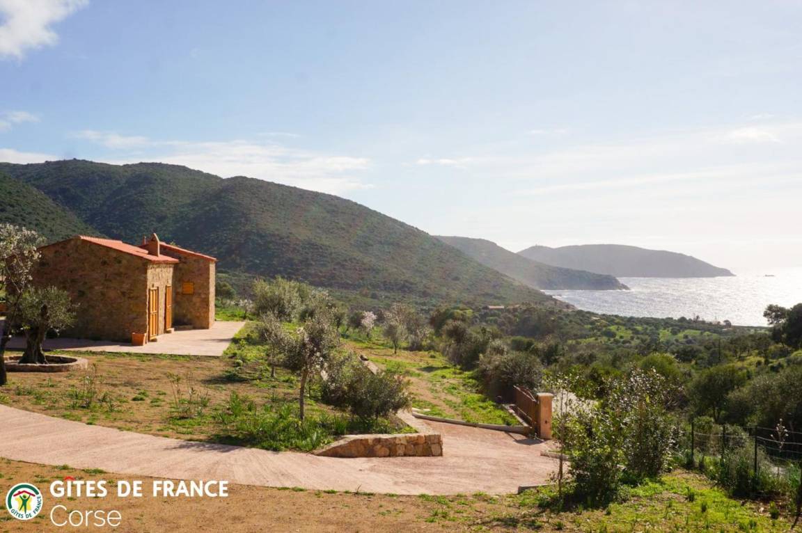 33 M² Gîte ∙ 2 Personnes - Piana