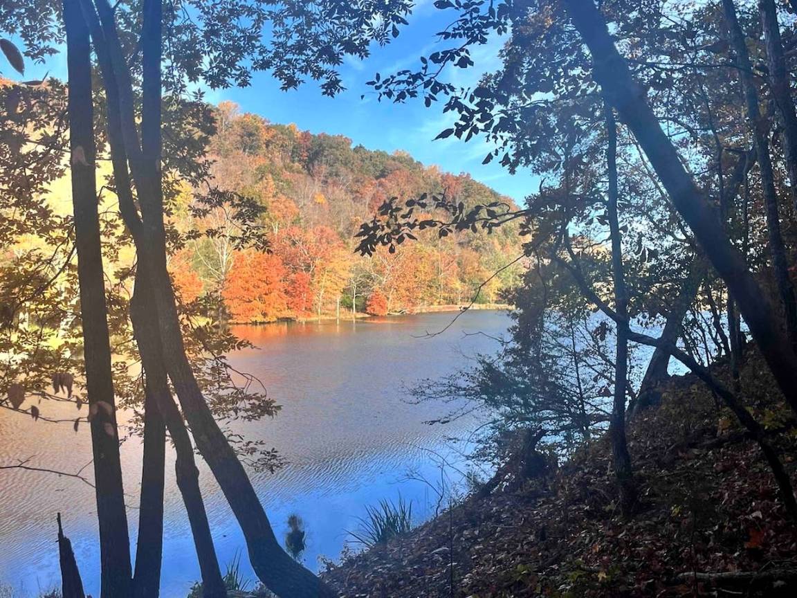 House ∙ 1 Bedroom ∙ 8 Guests - Fairview, TN
