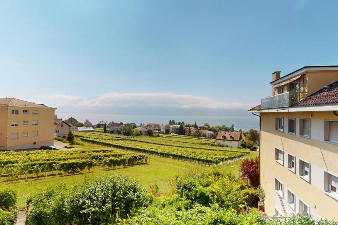 39 M² Apartment ∙ 1 Bedroom ∙ 2 Guests - Lausanne