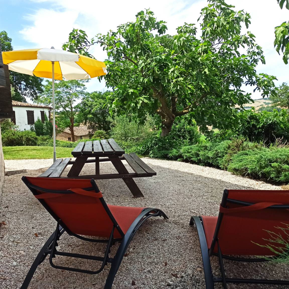 55 M² Farmhouse ∙ 1 Bedroom ∙ 4 Guests - Pergola