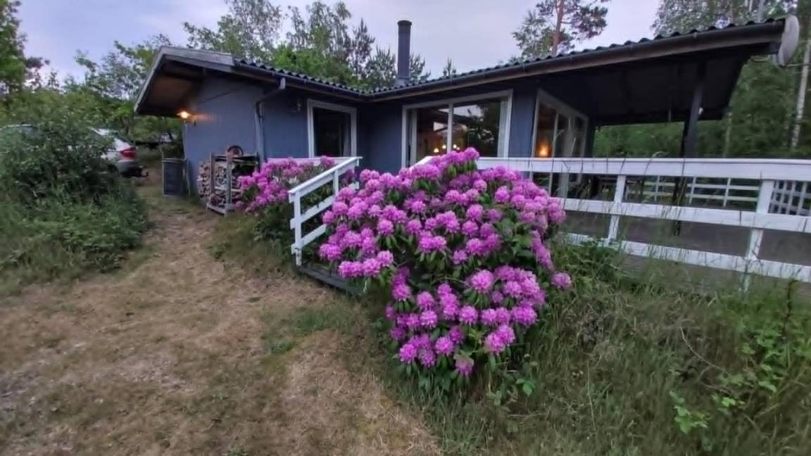 65 M² Ferienhaus ∙ 3 Schlafzimmer ∙ 6 Gäste - Bornholm