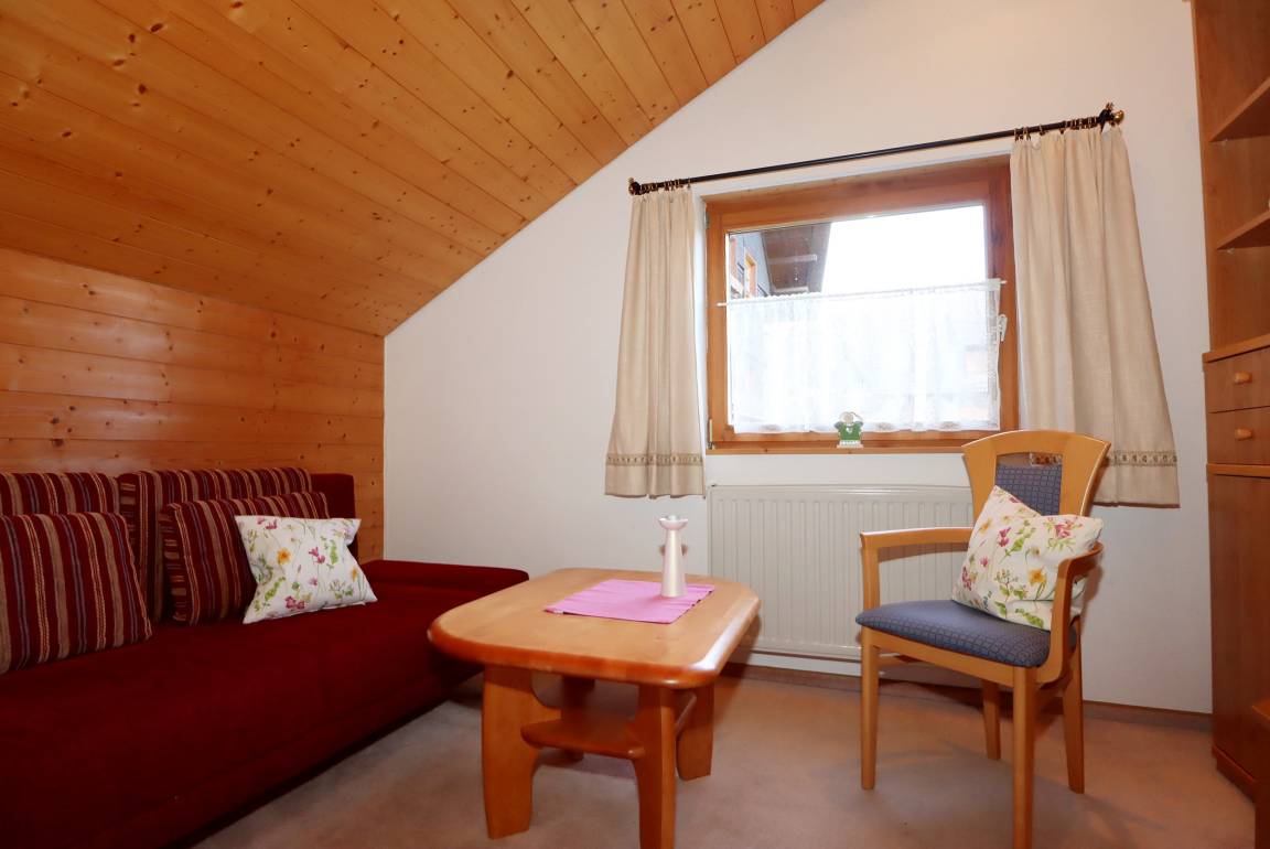 50 M² Appartement ∙ 1 Chambre ∙ 4 Personnes - Feldberg