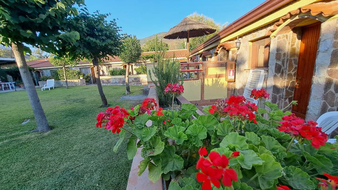 35 M² Bed And Breakfast ∙ 2 Bedrooms ∙ 3 Guests - Palinuro