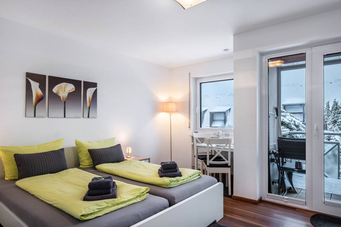 25 M² Studio Flat ∙ 2 Guests - Triberg