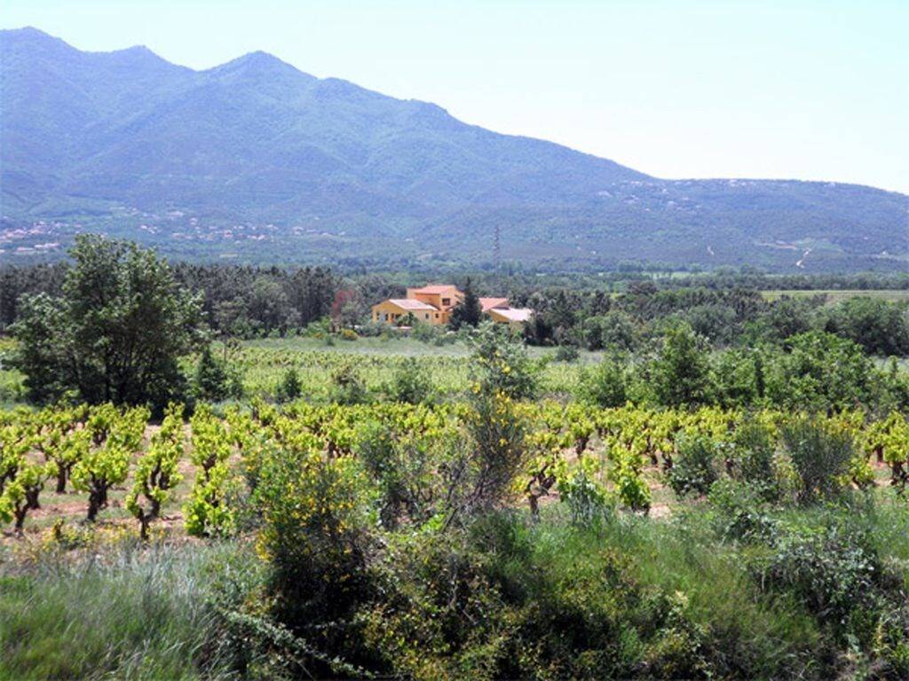 300 M² Villa ∙ 5 Chambres ∙ 12 Personnes - Saint-Jean-Pla-de-Corts