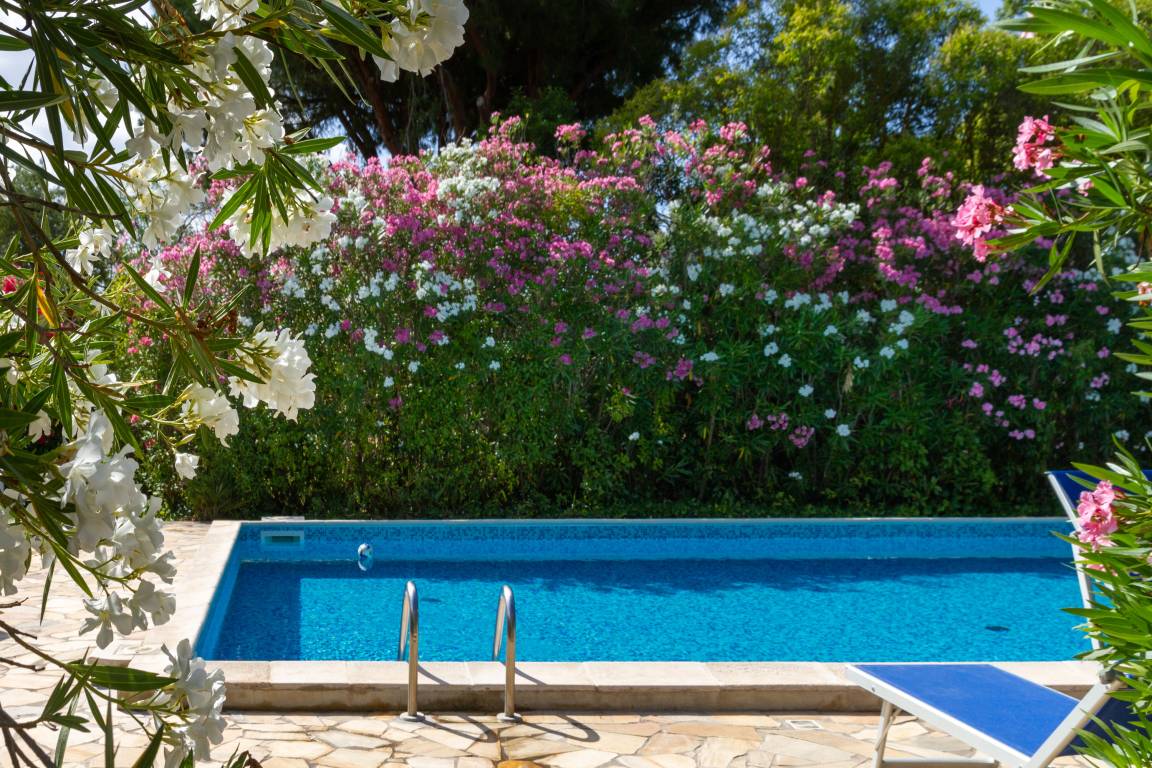45 M² Agriturismo ∙ 1 Camera Da Letto ∙ 4 Ospiti - Castiglione della Pescaia