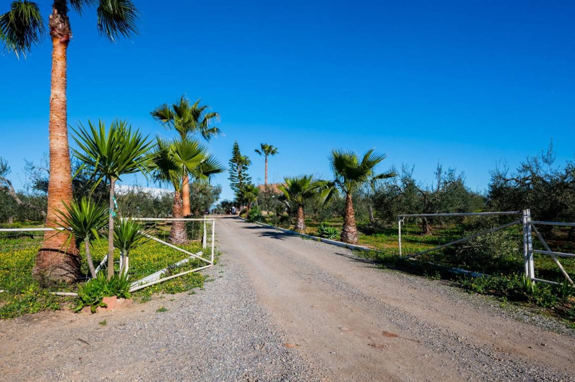 60 M² Maison De Vacances ∙ 2 Chambres ∙ 8 Personnes - Aljarafe