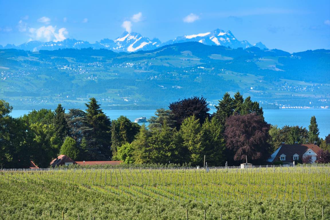55 M² Ferienwohnung ∙ 1 Schlafzimmer ∙ 3 Gäste - Nonnenhorn