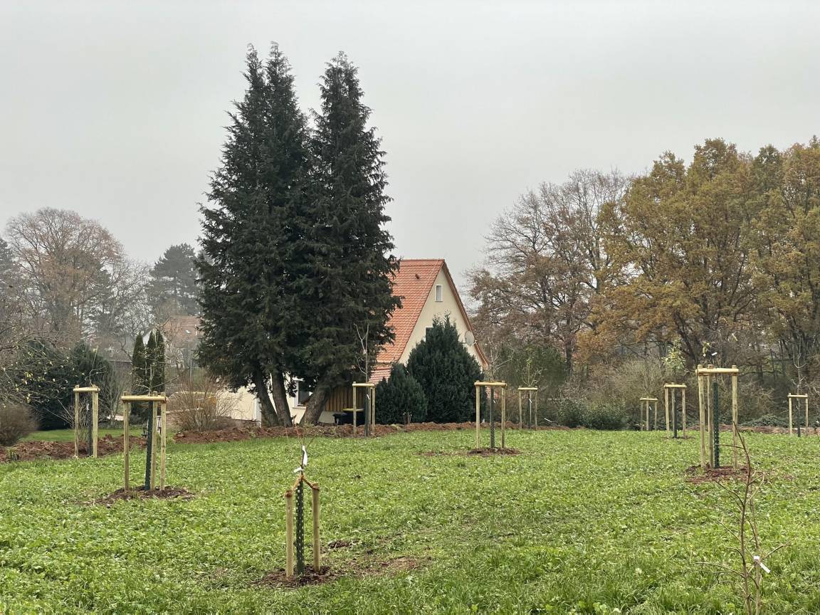 130 M² Ferienhaus ∙ 3 Schlafzimmer ∙ 6 Gäste - Eschwege