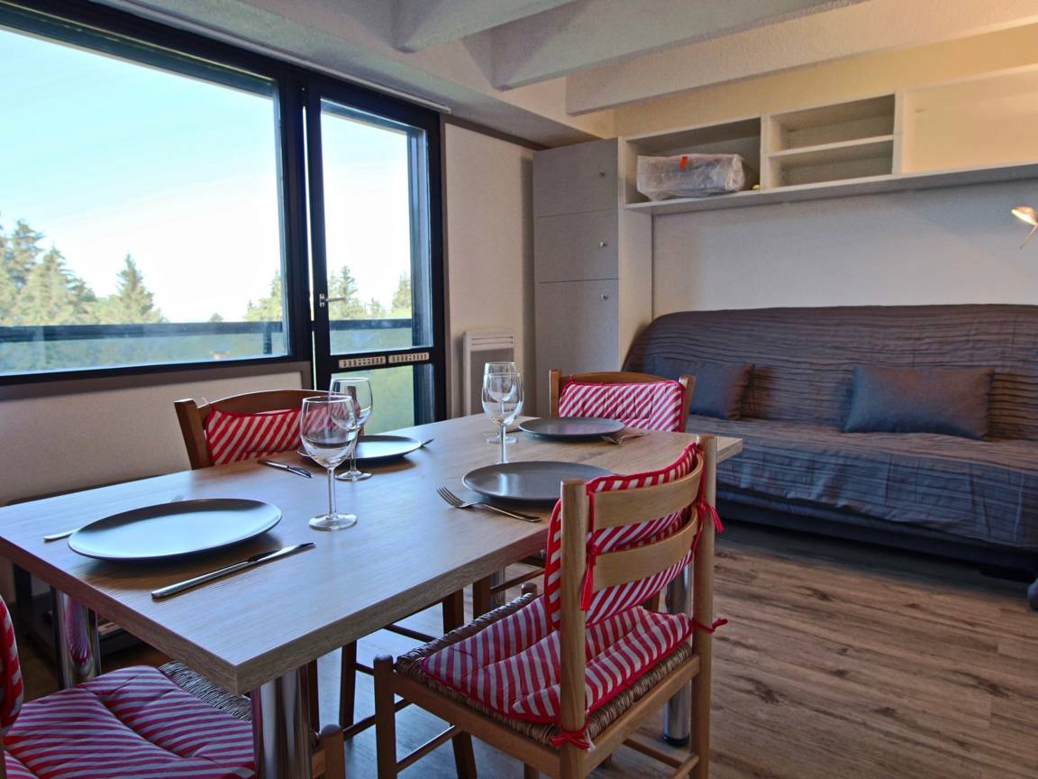 24 M² Estudio ∙ 1 Habitación ∙ 4 Huéspedes - Chamrousse