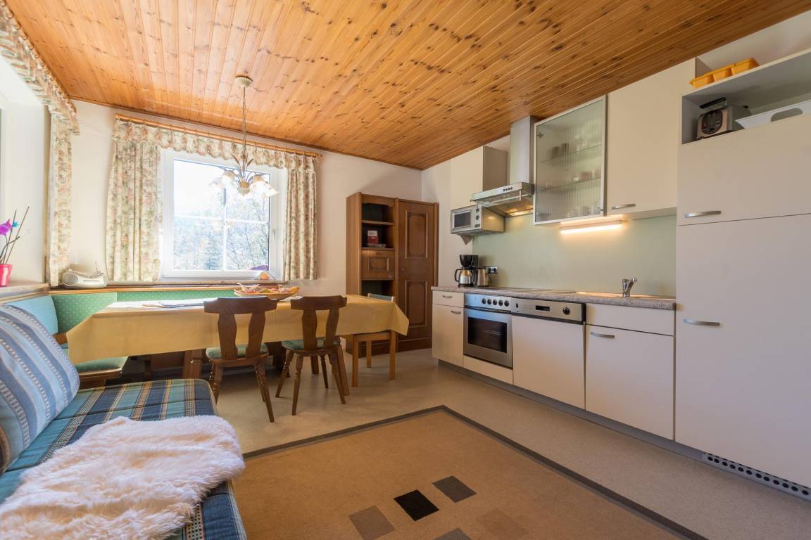 54 M² Ferienwohnung ∙ 1 Schlafzimmer ∙ 4 Gäste - Dachstein