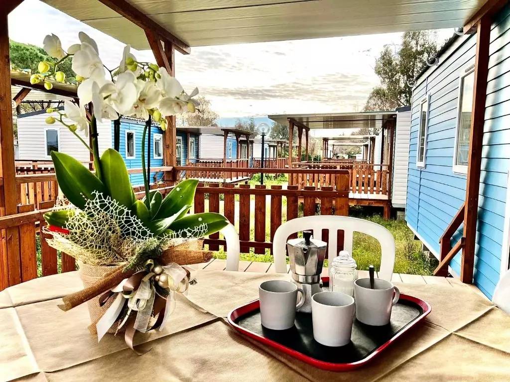 30 M² Mobilheim ∙ 3 Schlafzimmer ∙ 6 Gäste - Latium