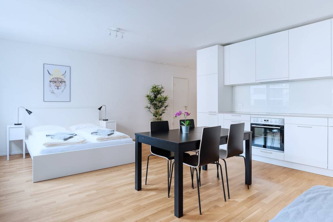 42 M² Ferienwohnung ∙ 1 Schlafzimmer ∙ 2 Gäste - Grenzach-Wyhlen