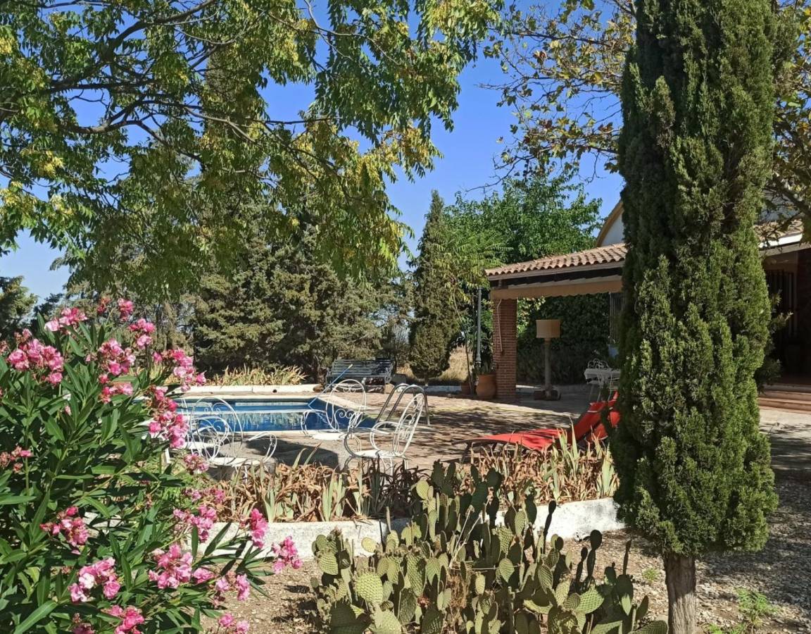 120 M² Finca ∙ 4 Bedrooms ∙ 8 Guests - Mora