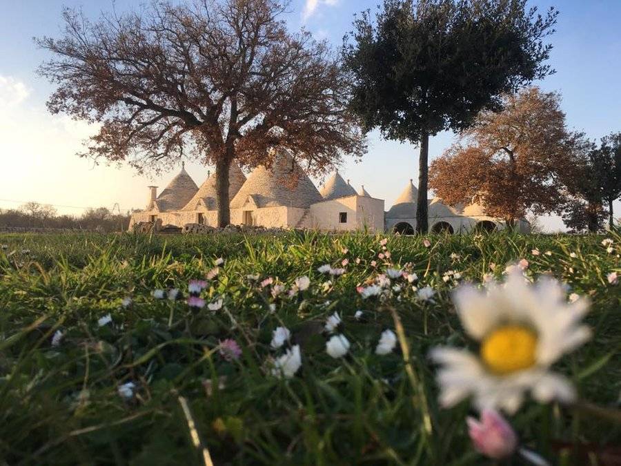 40 M² Farmhouse ∙ 1 Bedroom ∙ 5 Guests - Apulia