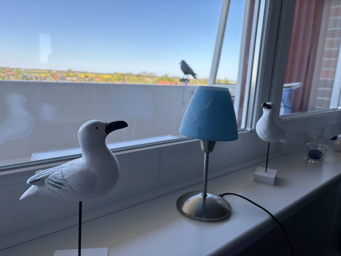 30 M² Ferienwohnung ∙ 3 Gäste - Wangerland