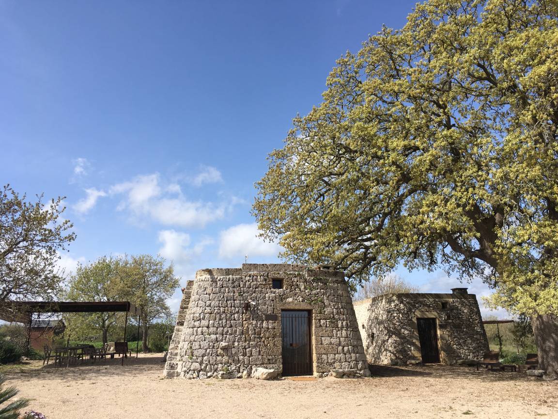 Casa Rural ∙ 1 Habitación ∙ 4 Huéspedes - Tricase