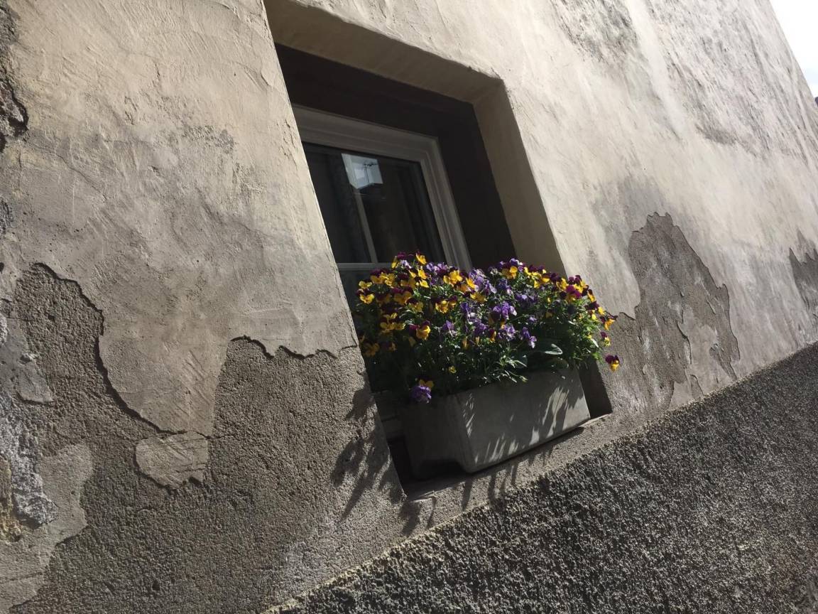 Apartment ∙ 1 Bedroom ∙ 2 Guests - Scuol