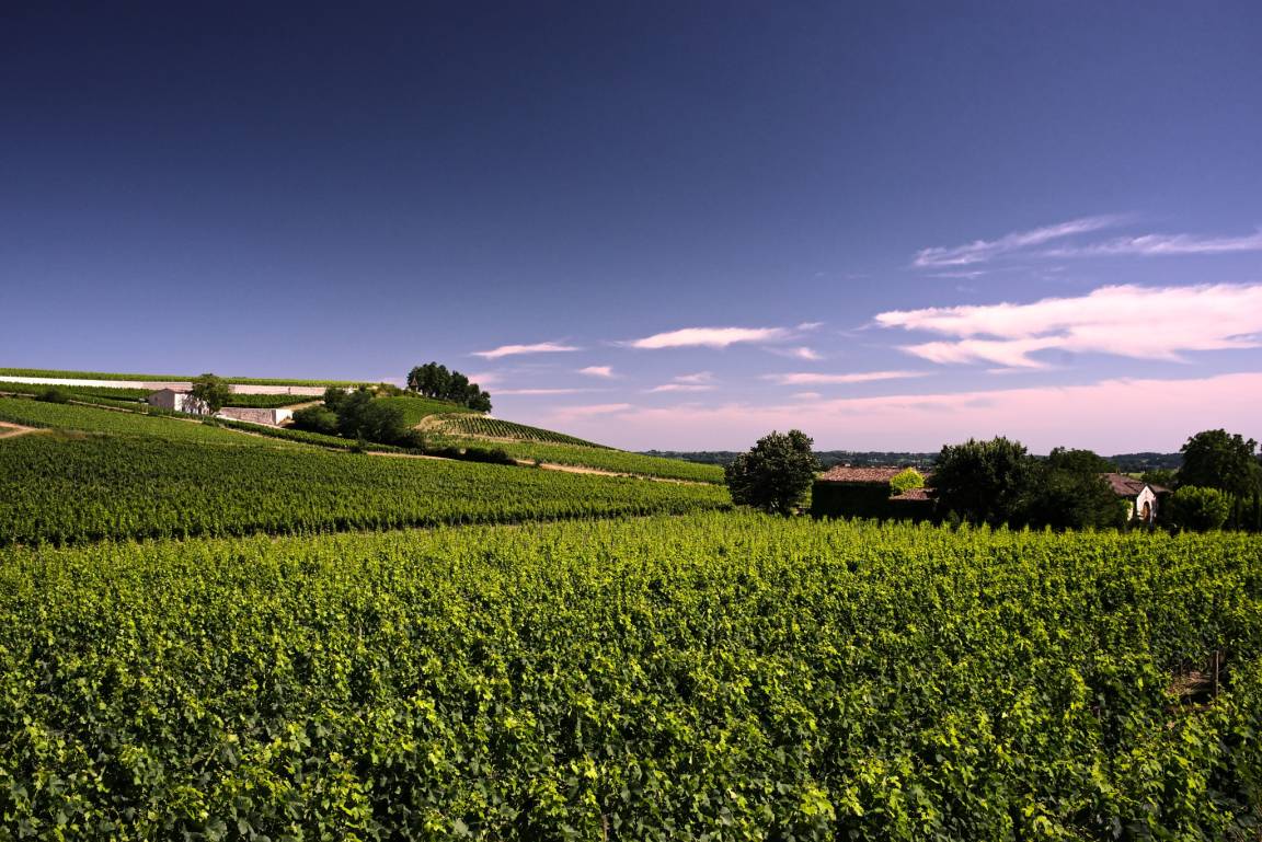 12 M² Chambre D'hôtes ∙ 1 Chambre ∙ 2 Personnes - Saint-Émilion