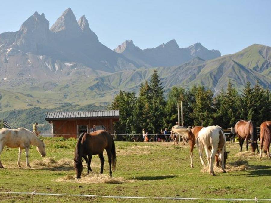 60 M² Apartment ∙ 2 Bedrooms ∙ 10 Guests - La Grave