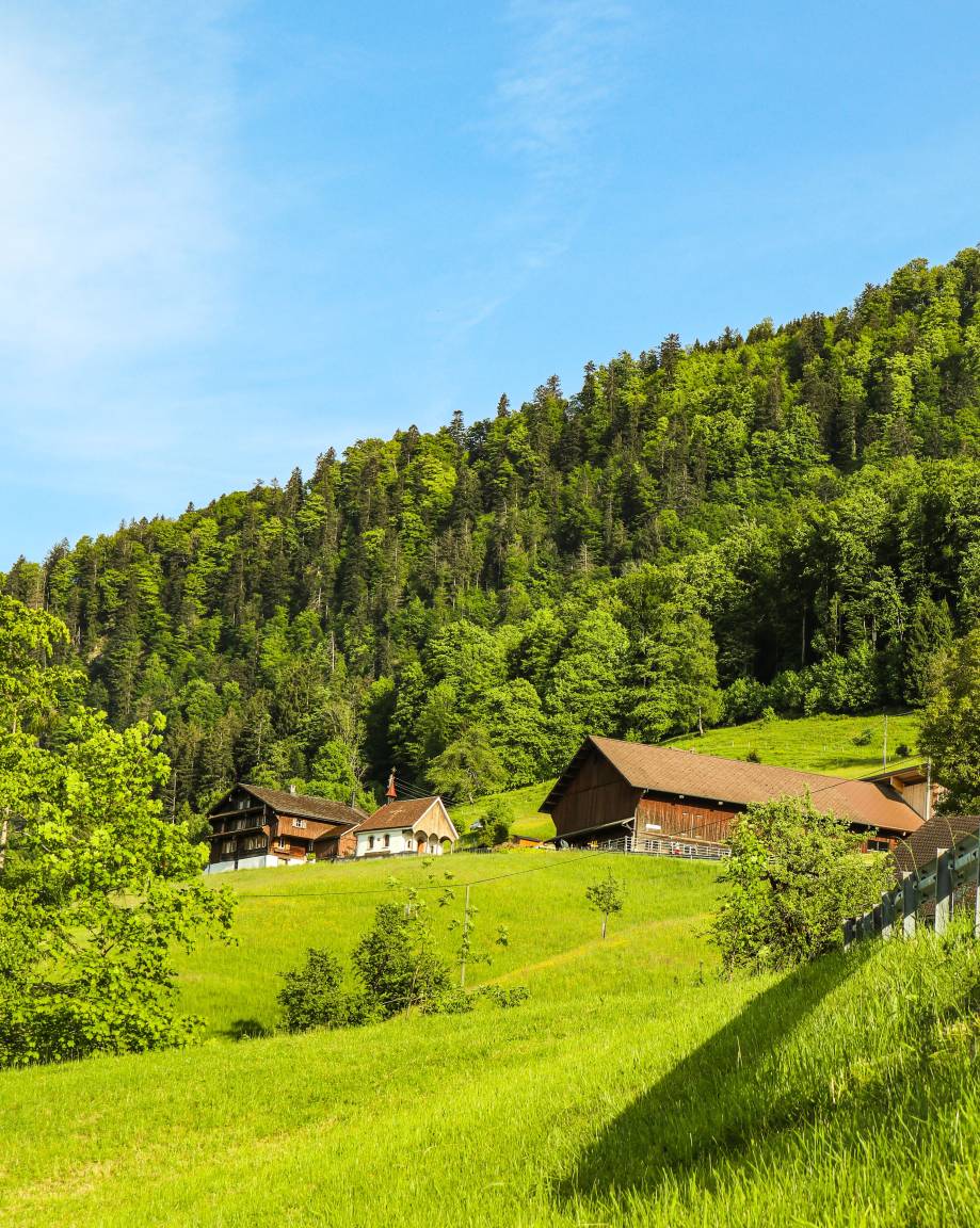 80 M² Ferienwohnung ∙ 2 Schlafzimmer ∙ 5 Gäste - Morschach