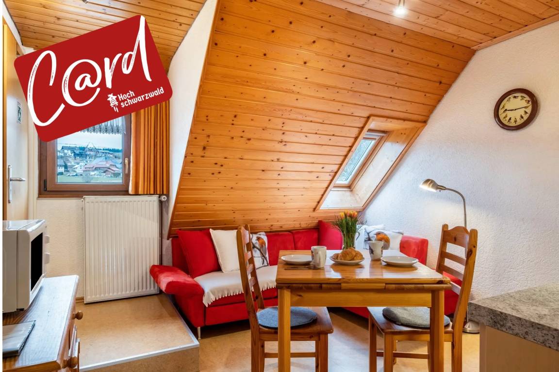 35 M² Apartment ∙ 1 Bedroom ∙ 2 Guests - Titisee-Neustadt