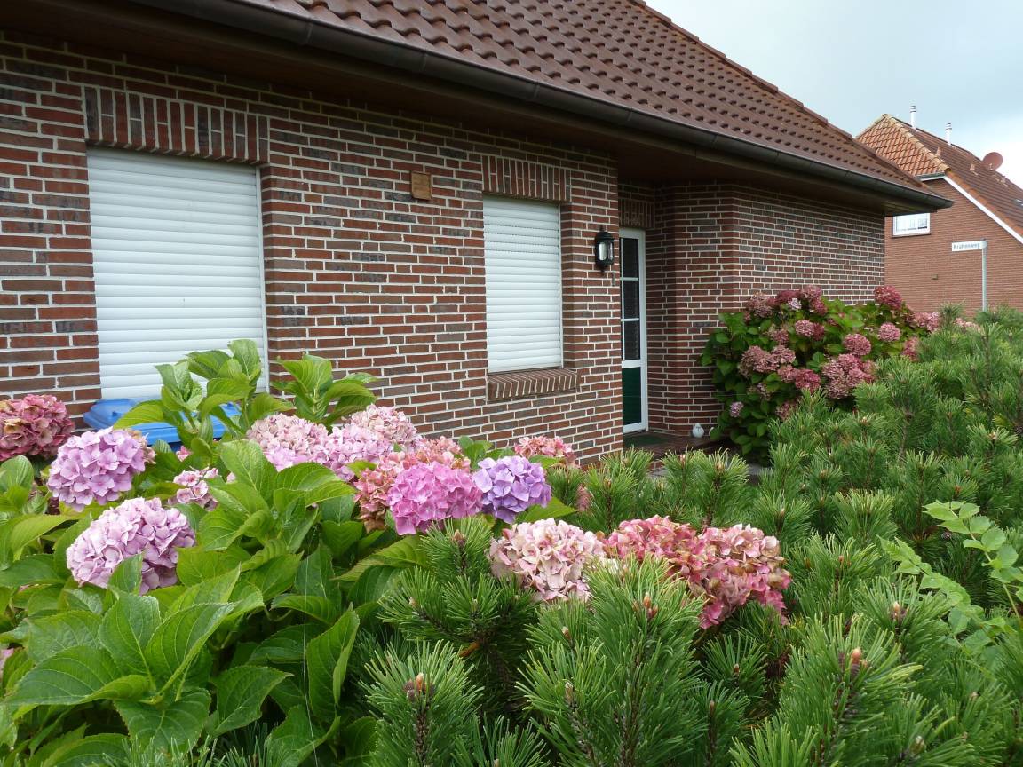 60 M² Ferienhaus ∙ 2 Schlafzimmer ∙ 4 Gäste - Langeoog
