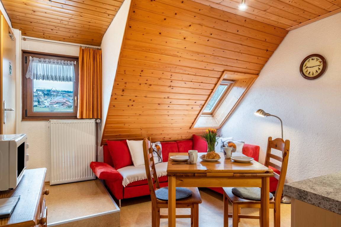 35 M² Apartamento ∙ 1 Habitación ∙ 2 Huéspedes - Titisee-Neustadt