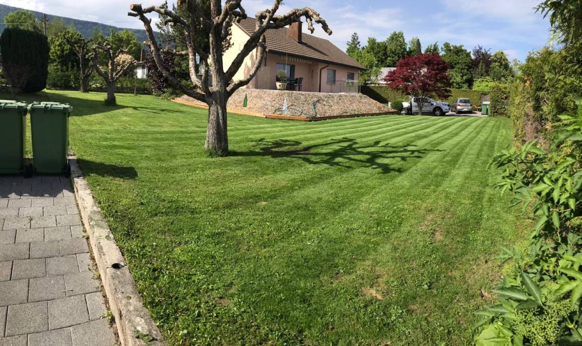 125 M² Habitación Privada ∙ 1 Habitación ∙ 1 Huésped - Neuchâtel