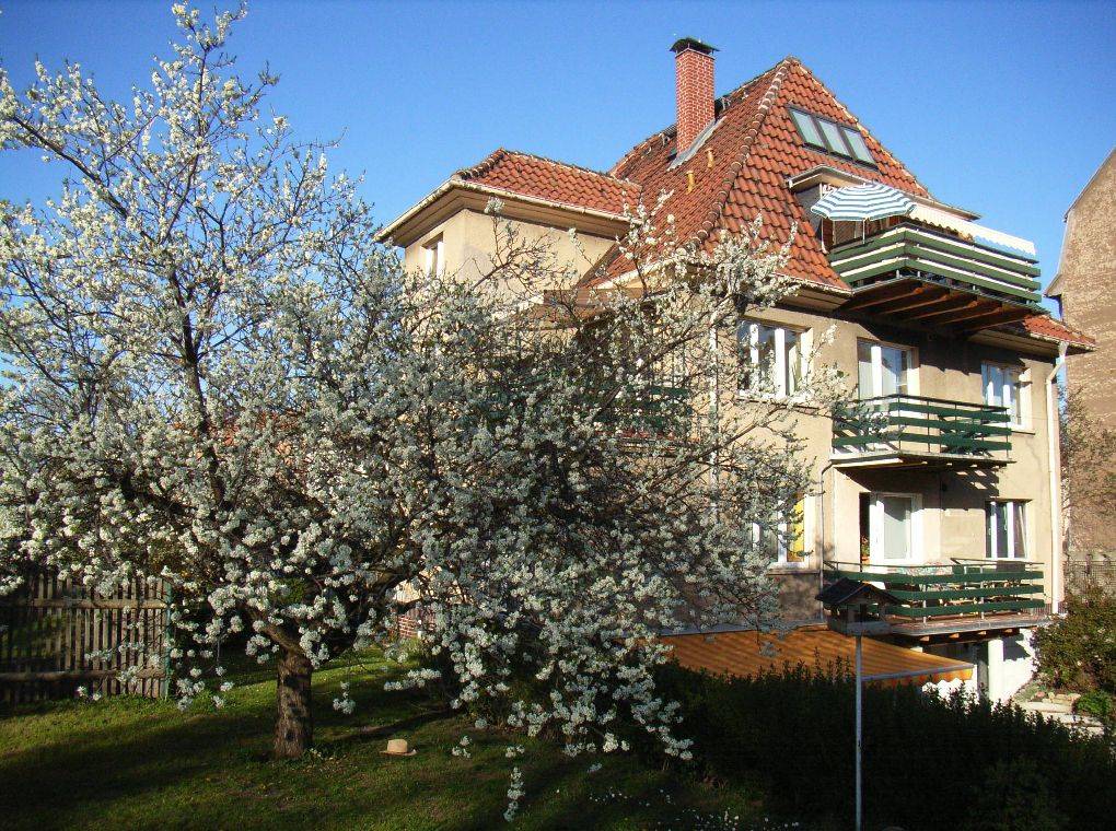 Ferienwohnung ∙ 3 Schlafzimmer ∙ 6 Gäste - Arnstadt
