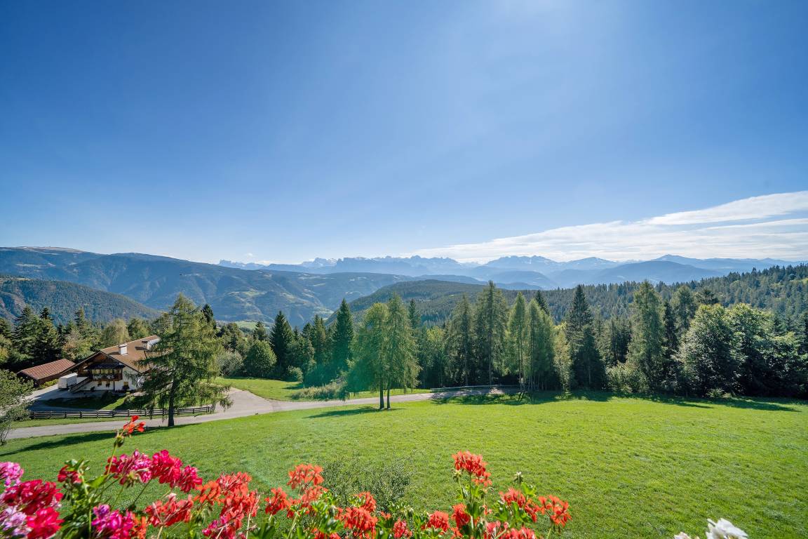 37 M² Apartment ∙ 1 Bedroom ∙ 4 Guests - Bolzano