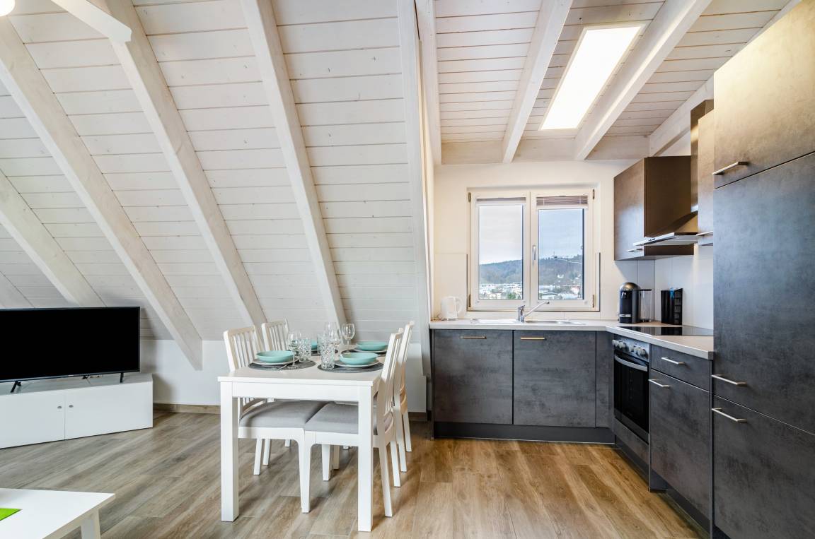 50 M² Apartamento ∙ 1 Habitación ∙ 4 Huéspedes - Stockach