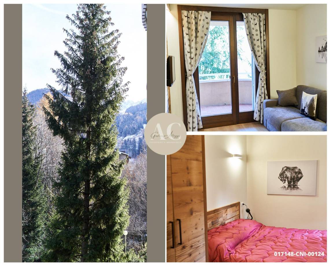 40 M² Ferienwohnung ∙ 1 Schlafzimmer ∙ 4 Gäste - Ponte di Legno