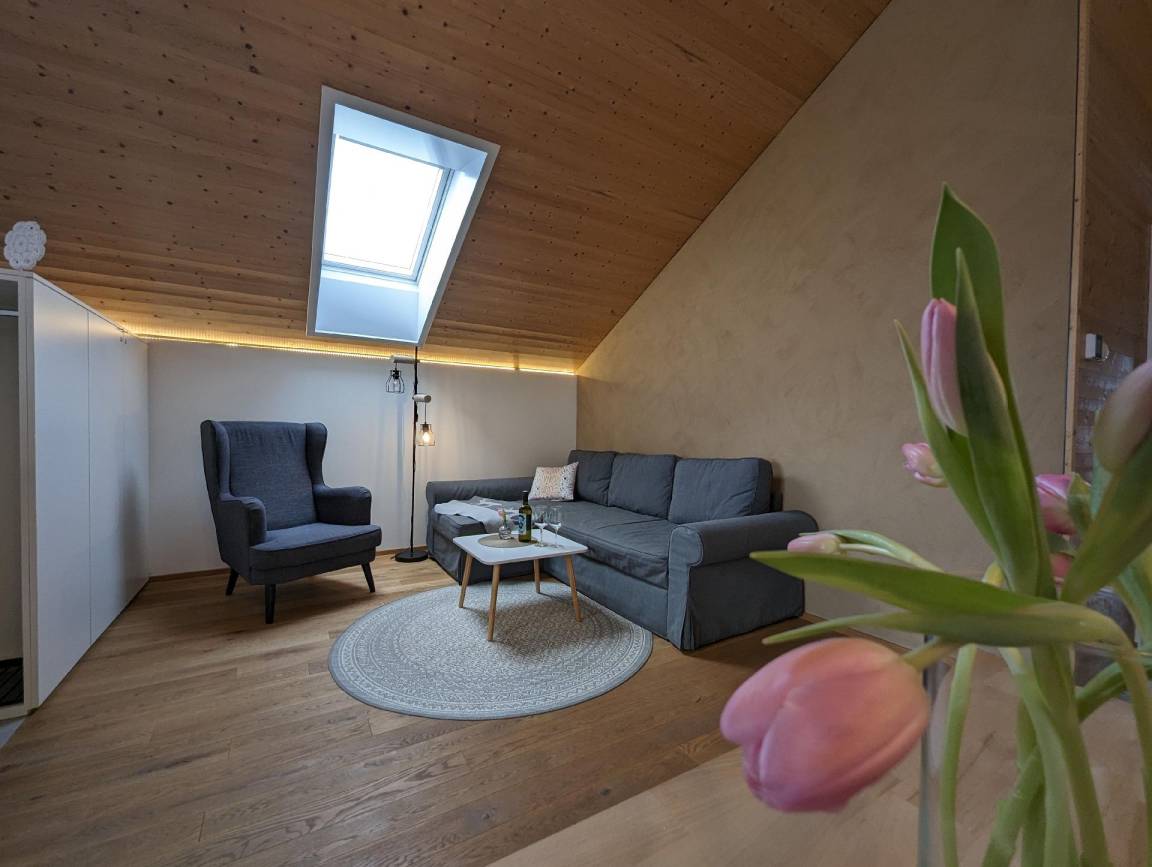 58 M² Apartment ∙ 1 Bedroom ∙ 3 Guests - Bregenz