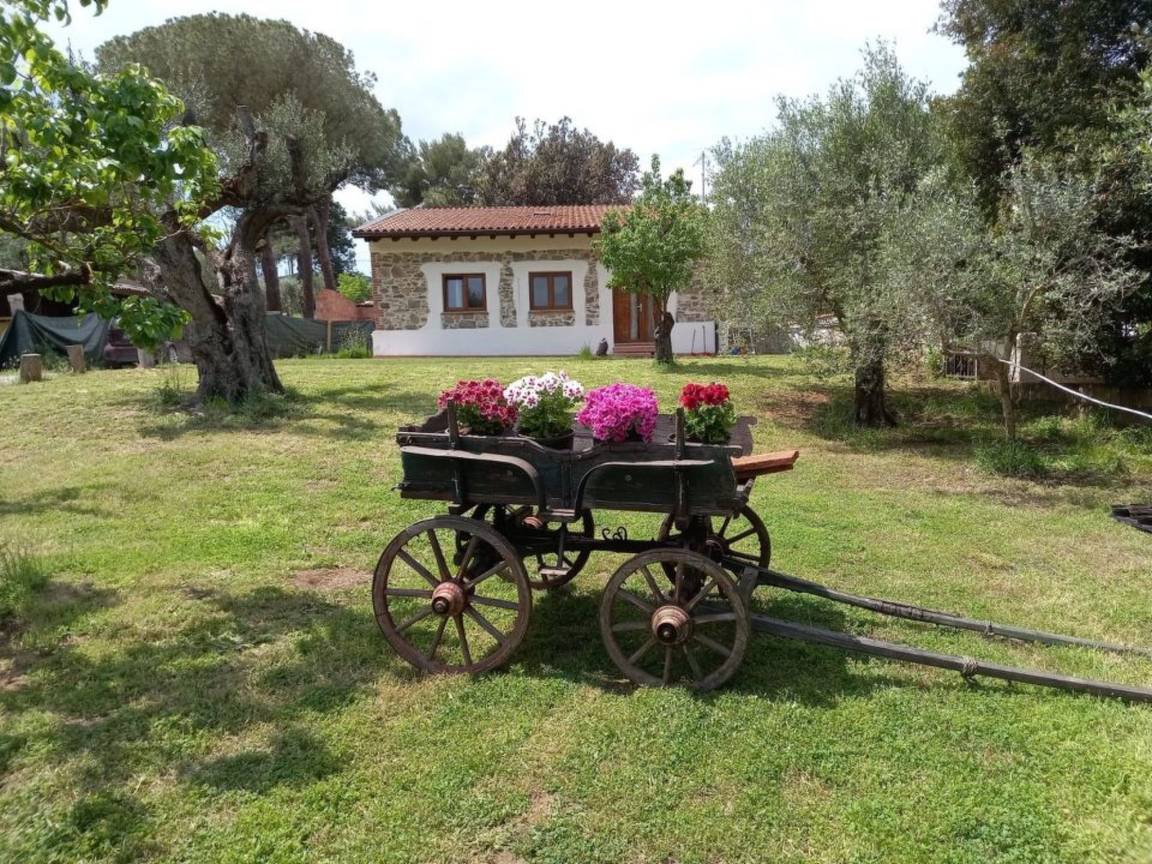 60 M² Apartment ∙ 2 Bedrooms ∙ 6 Guests - Piombino