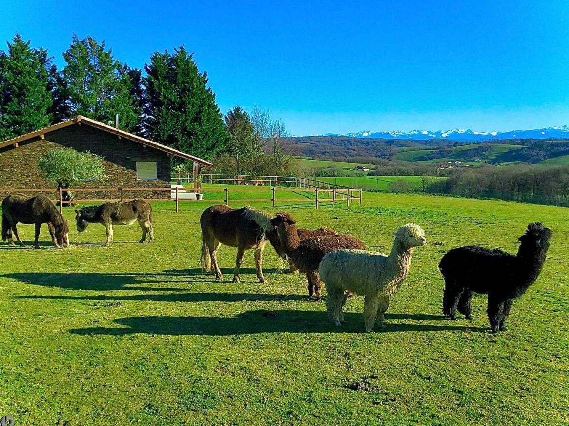 58 M² Gîte ∙ 2 Chambres ∙ 3 Personnes - Urt