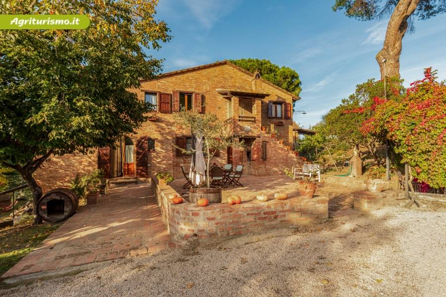 50 M² Agroturystyka ∙ 1 Sypialnia ∙ 4 Gości - Castiglione del Lago